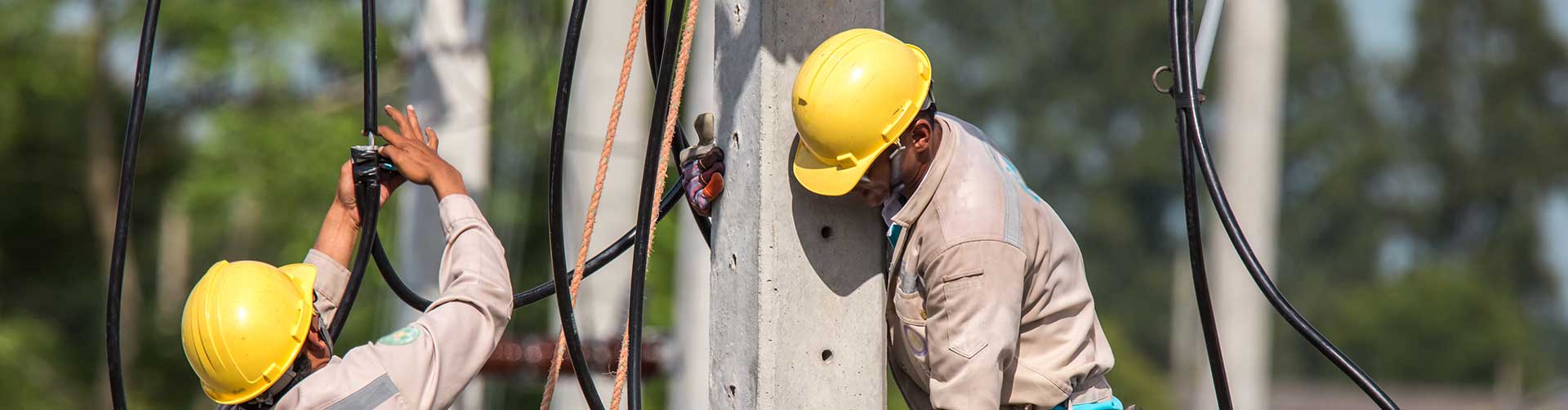 Field Operations in the Time of COVID-19